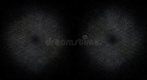 Two Black And White Circular Patterns Creating An Abstract Background Stock Illustration