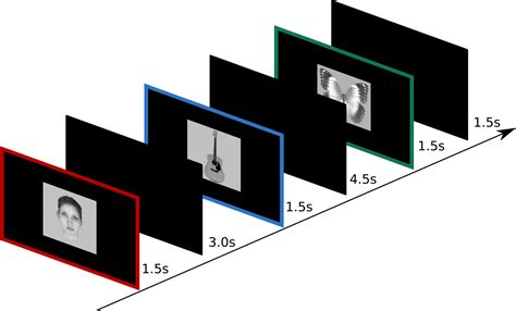 The Task — Mri Analyses Handbook 02 Documentation