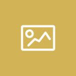 WordPress Plugin Display All Image Sizes 展示圖片所有尺寸外掛程式 麥克斯與沃普雷司