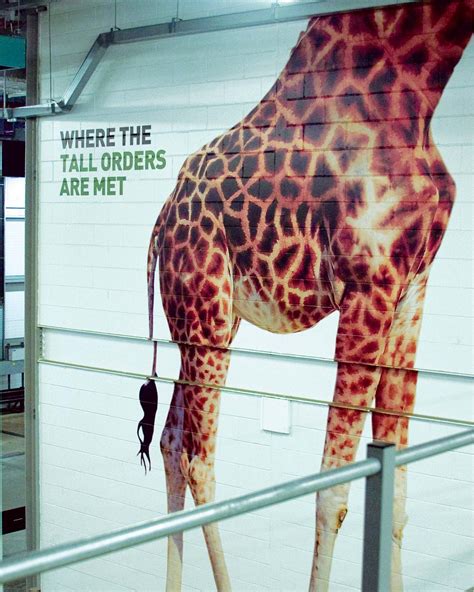 Geraff Image • Geraff Image