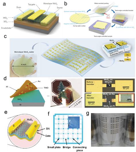 A Schematic Illustration Of A Typical Mos2 Transistor Reproduced With Download Scientific