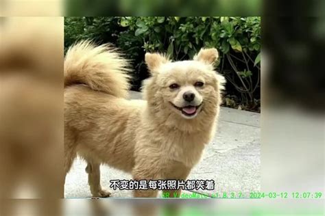 恍然间发现这首歌已经过去这么久了