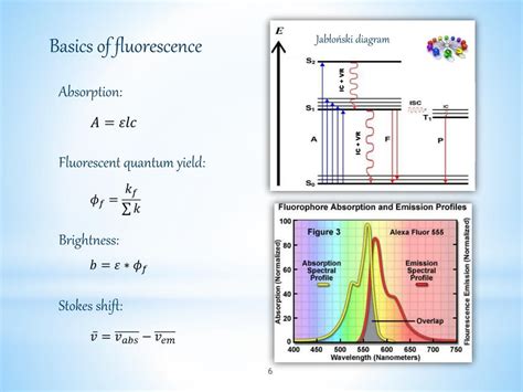 Ppt Principles Of Fluorescent Probes Powerpoint Presentation Free