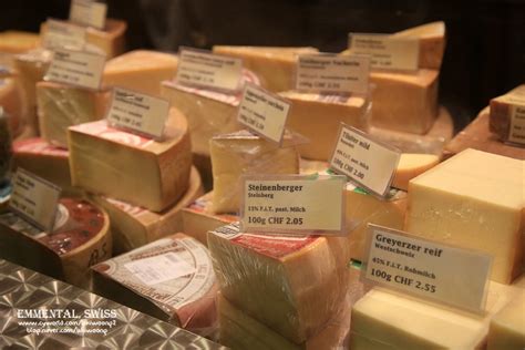 Emmental에멘탈 티틀리스를 내려와 스위스 치즈의 자존심 에멘탈 치즈 농장을가다 두피디아 여행기