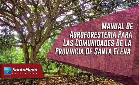 ¿cómo Se Hace Un Sistema Agroforestal 10 Sencillos Pasos Para Crear