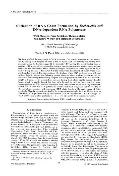 PDF Nucleation Of RNA Chain Formation By Escherichia Coli DNA