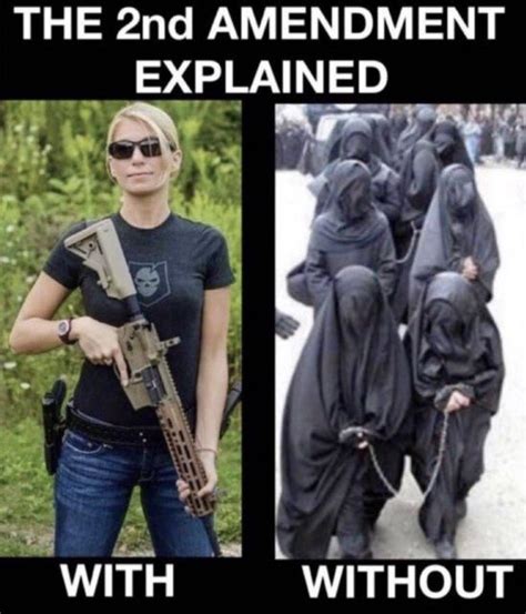 The 2nd Amendment Explained The View From North Central Idaho