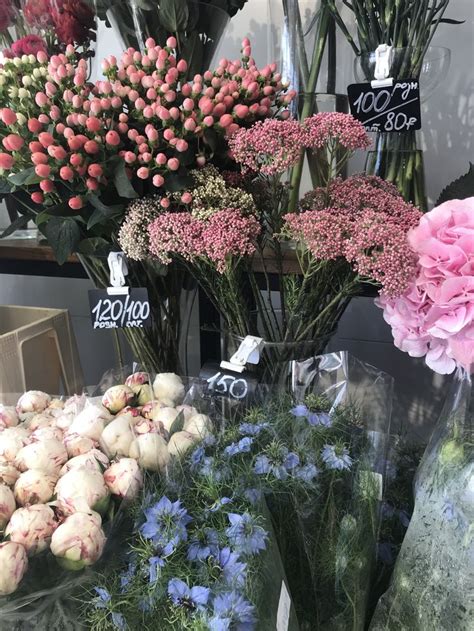 Цветы редкие цветы Flowers Редкие цветы Цветы Красивые цветы