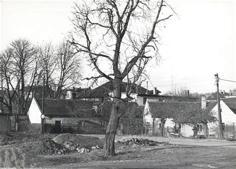 Malešice.eu - Historická fota