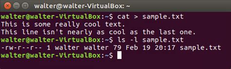 Comment créer rapidement un fichier texte à l aide de la ligne de commande sous Linux Azur Plus