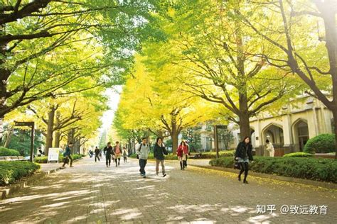 会计学·合格 青山学院大学会计学修士合格分享~ 知乎