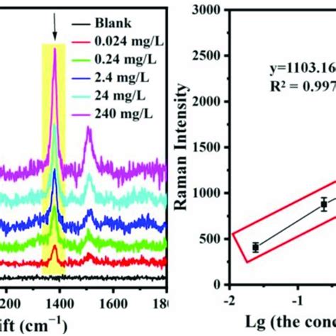 A Raman Spectra Of Different Concentration Of Thiram On Mcag Nps