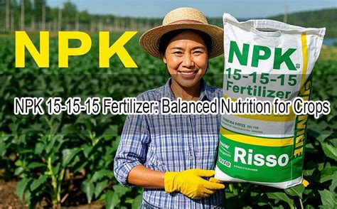 Guide des engrais NPK 15-15-15 : une nutrition équilibrée pour les ...
