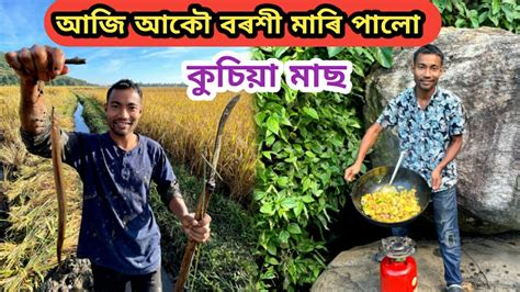 আজি আকৌ বৰশী মাৰি পালো কুচিয়া মাছ Youtube