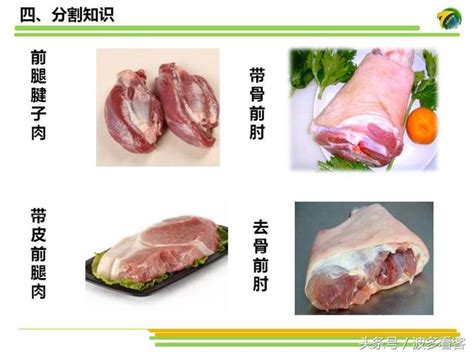 豬肉行業人士必備教你認清豬身上每塊肉這點算什麼 每日頭條