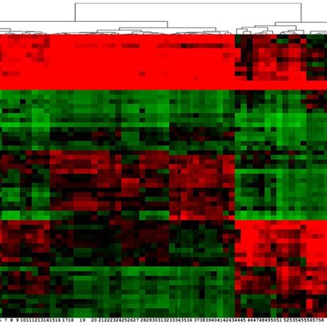 the entropy of the codon usage pattern of the middle amino acid with
