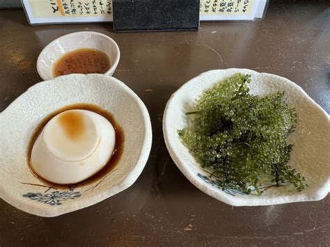 바다거북이 마구로덮밥 음식 여행 에펨코리아