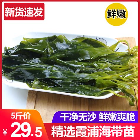 海带苗和海带芽 海带苗裙带菜 大山谷图库