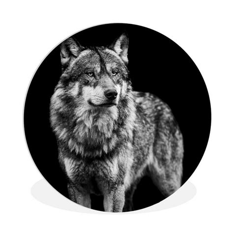 Muchowow Gemälde Wolf Tiere Wild Schwarz Weiß 1 St Kreis