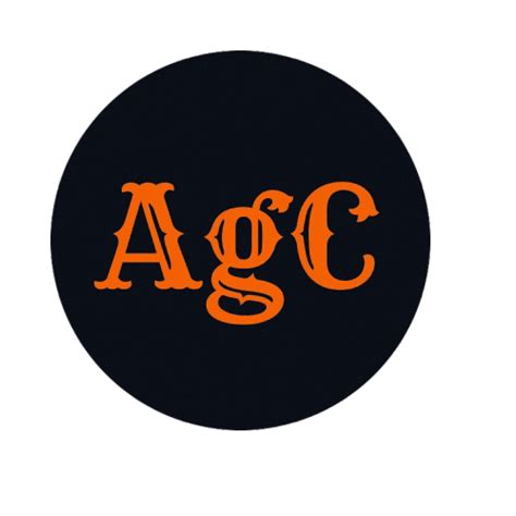 Agile Consultants Top Recruitment Consultants In India