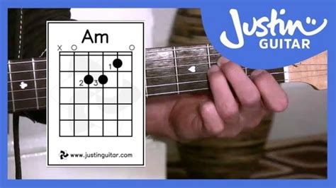 The A Minor Chord Guitar Lessons For Beginners Stage 2 Guitar Lesson
