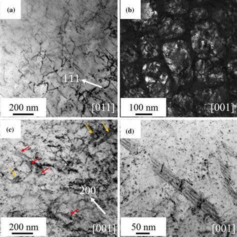 Tem Micrographs Of Bd Specimen Deformed At 900 °c To 5 Strain A C