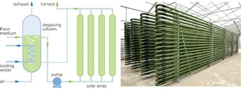 Algae Bioreactor Definition Types Feature Uses Biology Notes Online