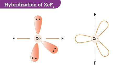 Hybridization Of Xef2 Xenon Difluoride Understanding The Process