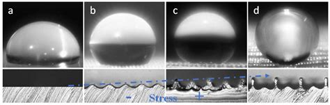 Superhydrophobic Surfaces Created By Elastic Instability Of PDMS