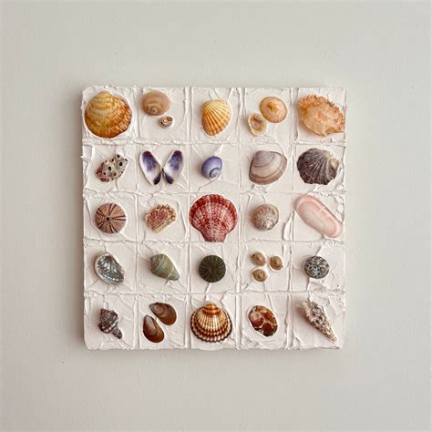 Sea Shell Collection Coastal Shell Art Unique Sea Shell Collage For