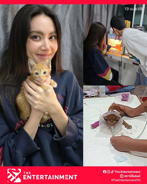 The Entertainment ใหม่ดาวิกา ใจบุญเตรียมรับเลี้ยงแมวจร หลังน้องเพิ่งรอดชีวิตมา พร้อมชวนแฟน ๆ