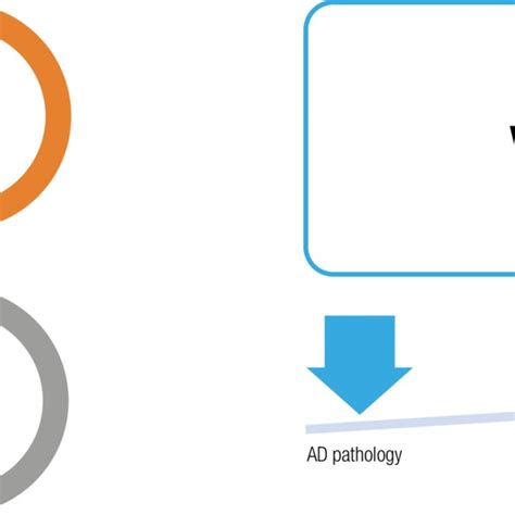 Classification Of Forms Of Vascular Dementia According To The Vicccs