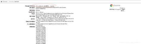 解决monexceptionswebdriverexception Message Chromedriver