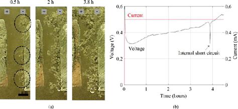 Figure 3 From In Situ Observations Of Lithium Dendrite Growth Semantic Scholar