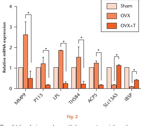 Figure 2 From Transcriptome Analysis Of Osteoblasts In An