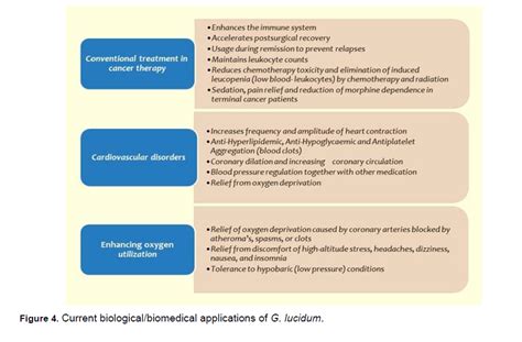 Ganoderma Lucidum Polysaccharides Extraction Yields And Its Biological Applications Insight