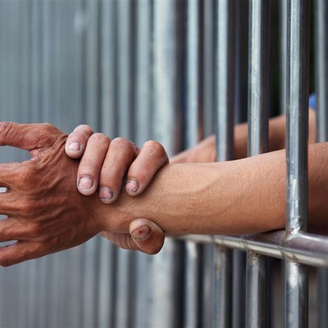 Sexual Behavior In Prison Populations Understood Through The Framework