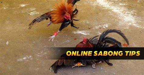 Lodigame Online Sabong Tips Winning Strategies 2024