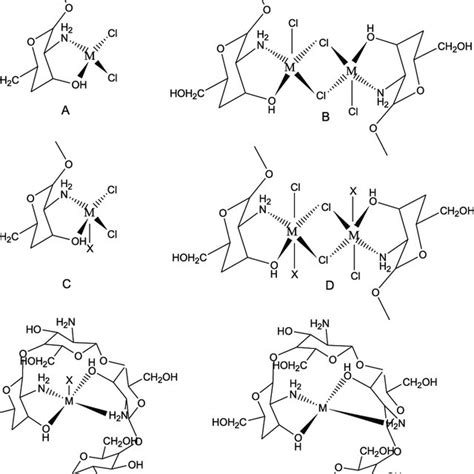 Proposed Structures For Chitosan Metal Ion Complexes In The Download Scientific Diagram