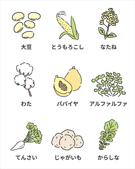 遺伝子組み換え食品｜安全・安心 ライブラリー｜安全・安心のこと｜コープきんき事業連合