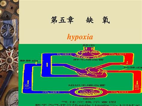 缺氧word文档在线阅读与下载无忧文档