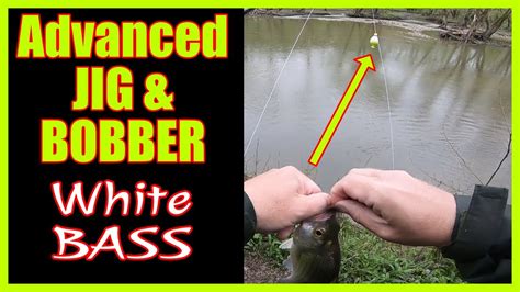 Advanced Jig And Bobber White Bass Fishing Youtube