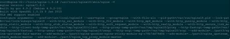 nginx编译安装并引入优秀的第三方模块 Neal的点滴