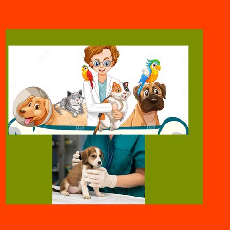 sistema de veterinaria java mysql poo codigo fuente sistemas en php