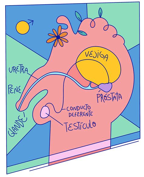 Sex Education Illustrations Behance Sex Education Illustrations Behance