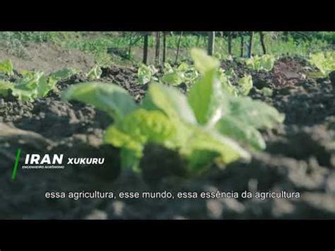 Agricultura Xukuru Do Ororub Narrativas Ind Genas Do Nordeste