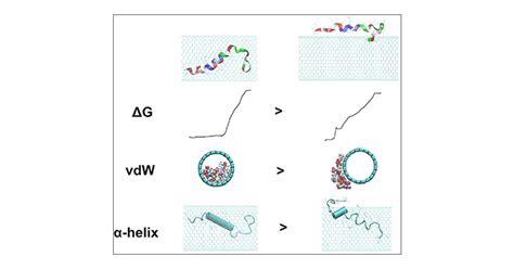 Carbon Nanotube Loading Strategies For Peptide Drugs Insights From