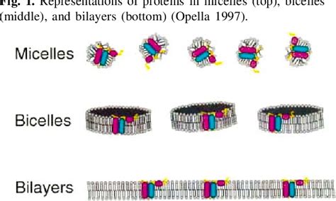 Figure 1 From Structure Determination Of Membrane Proteins By Nmr