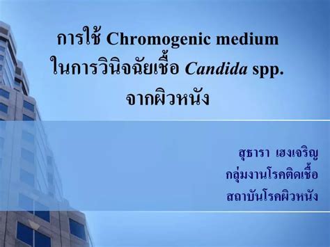 Ppt การใช้ Chromogenic Medium ในการวินิจฉัยเชื้อ Candida Spp จาก