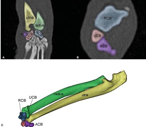 Steps In The Segmentation Process A Segmentation Of The Individual